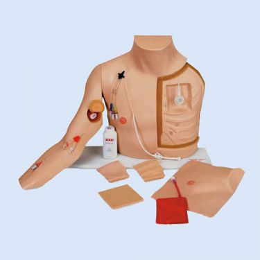 Nasco Chester Chest Port- und Venenkatheter-Versorgungstrainer - Skills ...